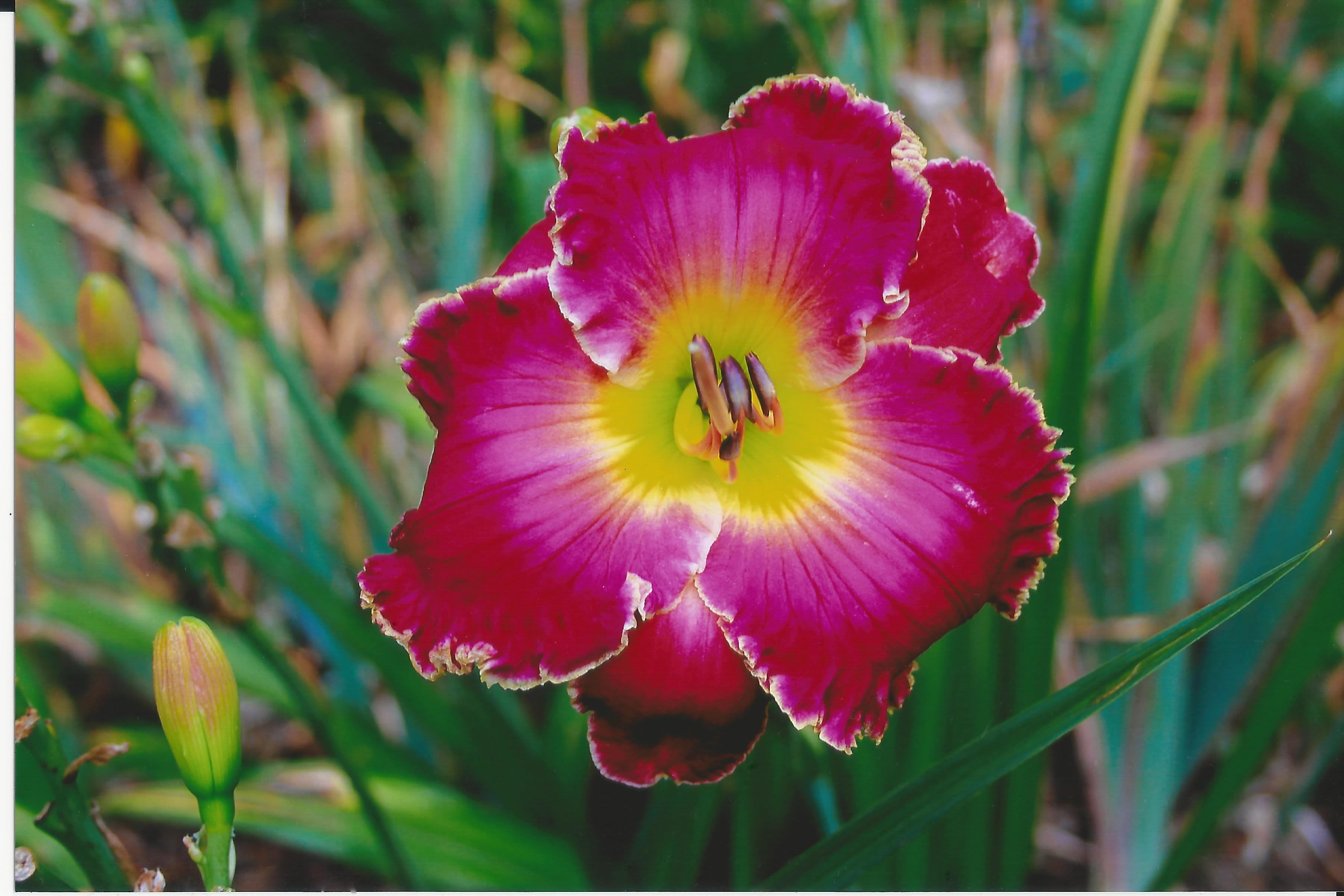 Harmon Hill Farm - Dan Matzek's Intros